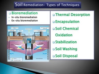 Soil contamination and remediation | PPTX