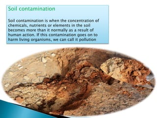 Soil contamination and remediation | PPTX