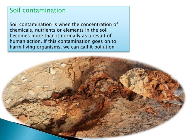 Soil contamination and remediation | PPTX
