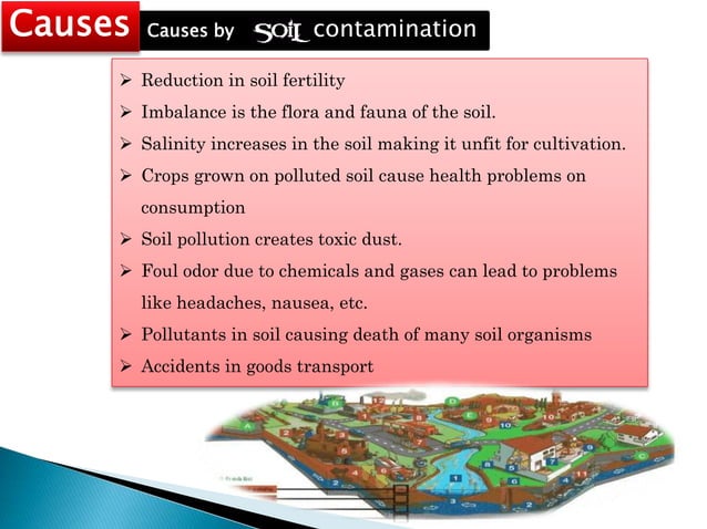 Soil contamination and remediation | PPTX