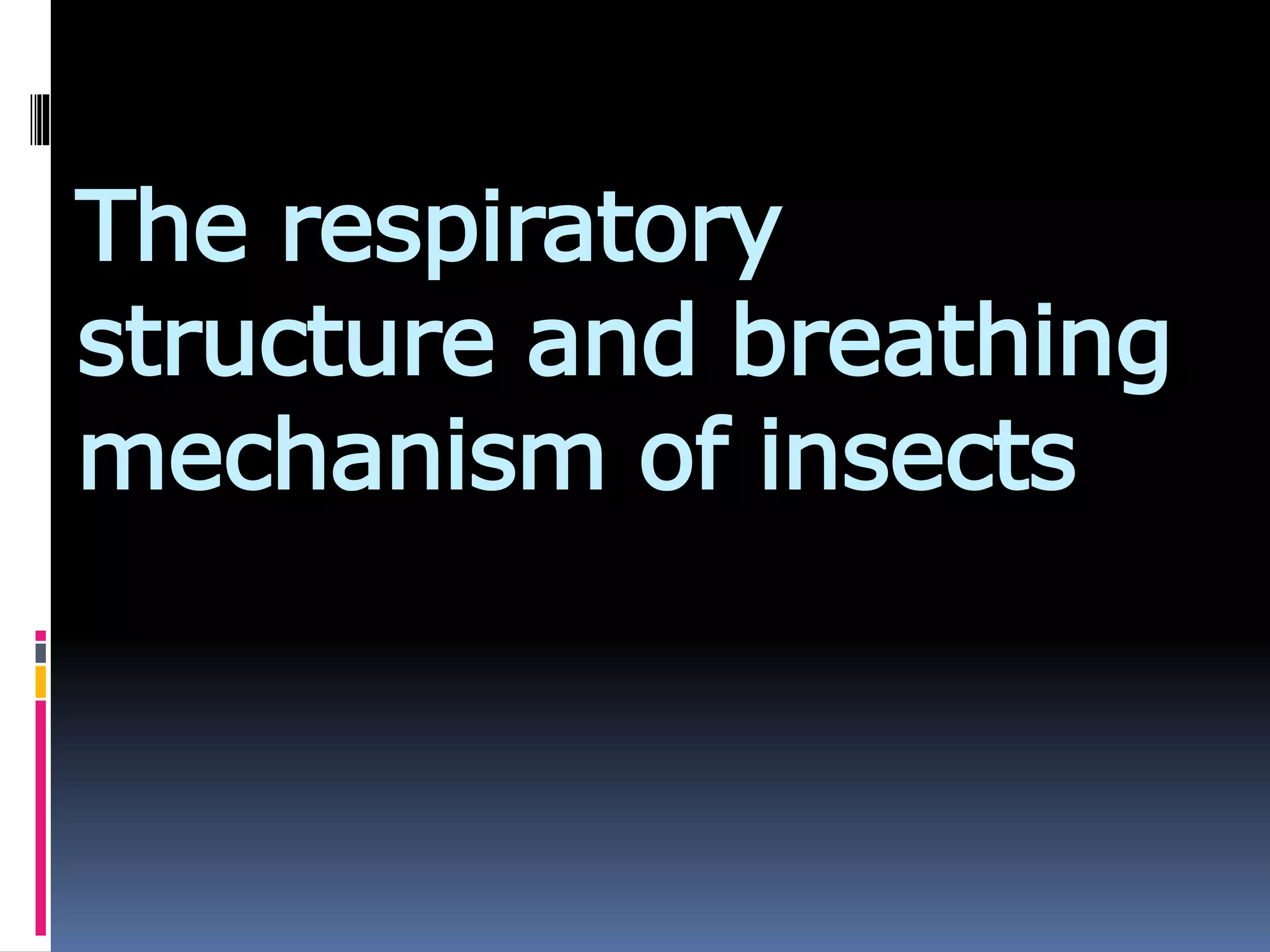 Respiration in Ak grasshopper &general | PPTX