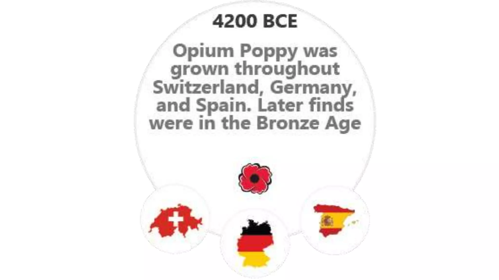 The Opium Timeline | PPTX