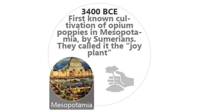 The Opium Timeline | PPTX