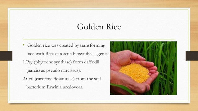 Genetics Engineering