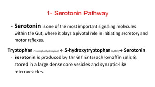 Tryptophan presentation metabolism Mbbs RUD | PDF