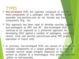 Virus Like Particles | PPT