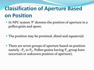 Classification of pollen and spores | PPTX