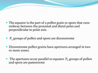 Classification of pollen and spores | PPTX