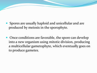 Classification of pollen and spores | PPTX