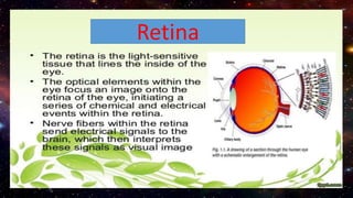 RETINA | PPTX