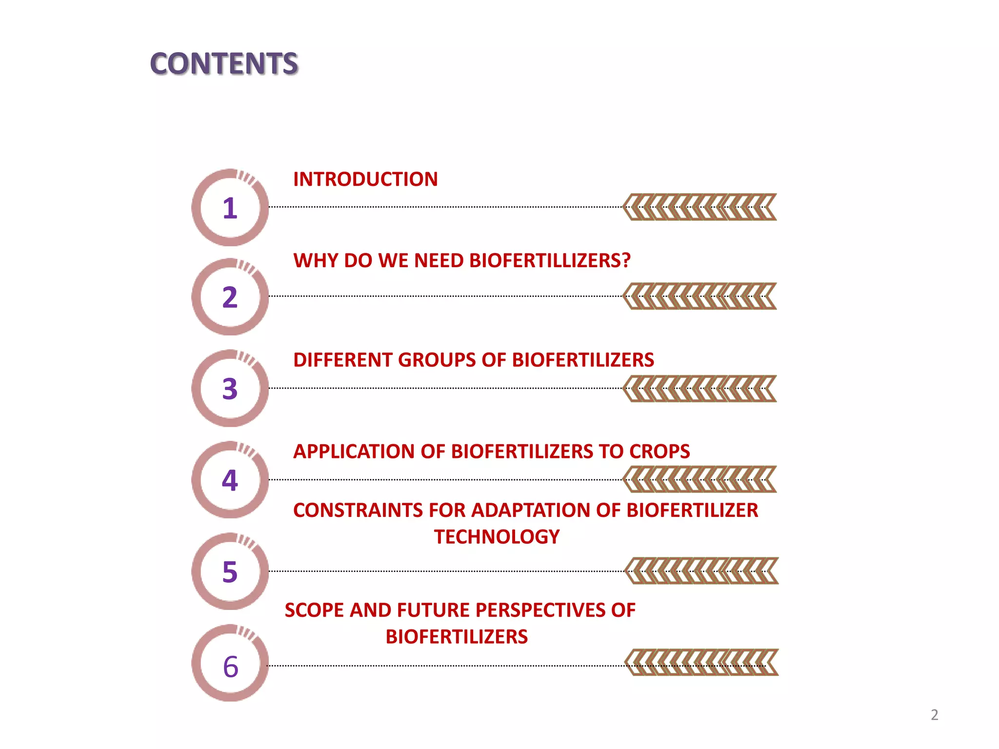 BIOFERTILLIZERS.GROUPS OF BIOFERTILLIZERS.SCOPE AND FUTURE PERSPECTIVE ...