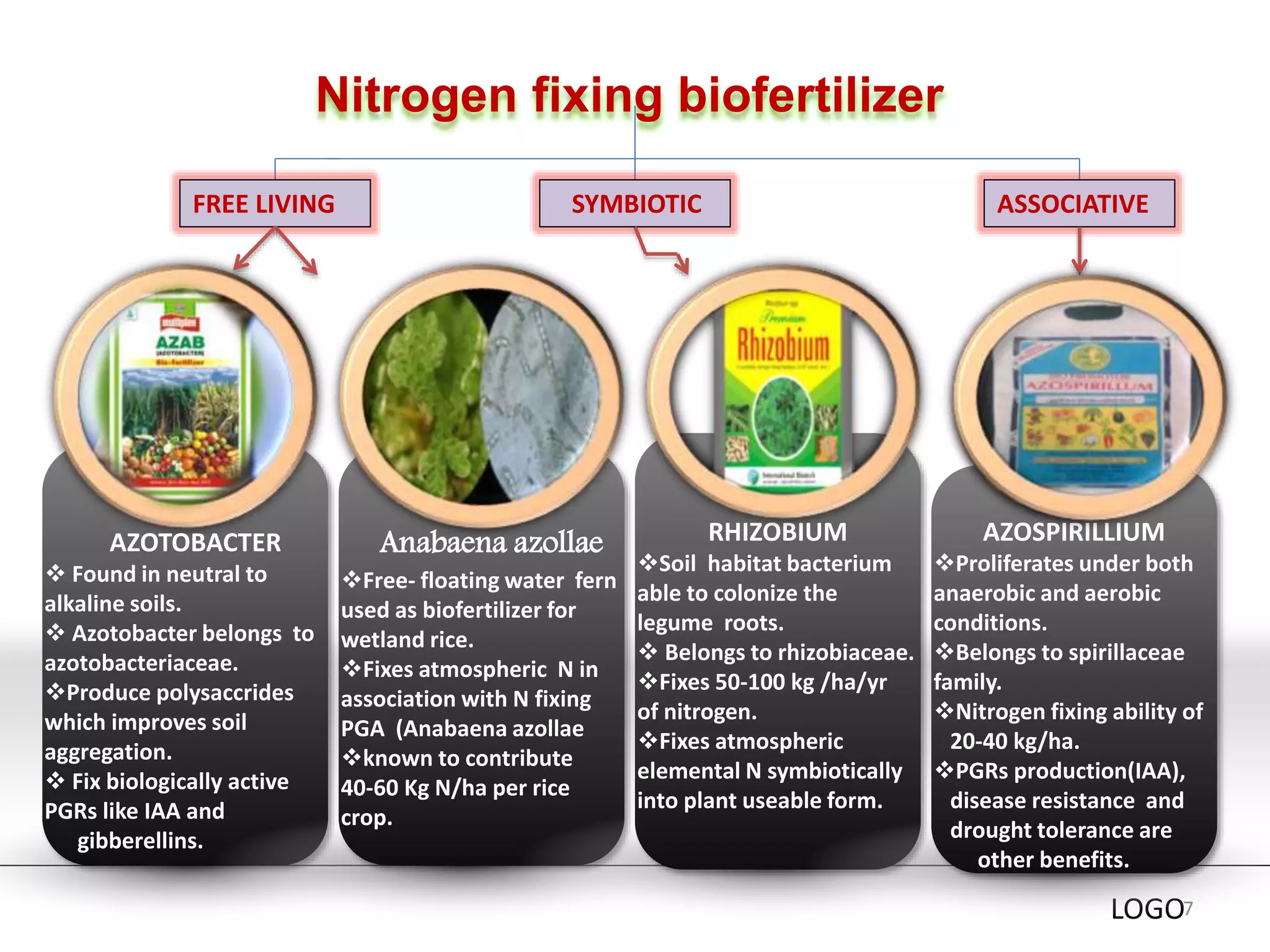 BIOFERTILLIZERS.GROUPS OF BIOFERTILLIZERS.SCOPE AND FUTURE PERSPECTIVE ...