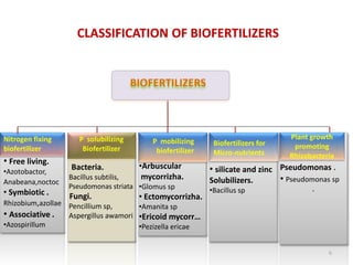 BIOFERTILLIZERS.GROUPS OF BIOFERTILLIZERS.SCOPE AND FUTURE PERSPECTIVE ...