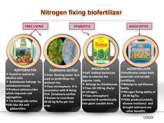 BIOFERTILLIZERS.GROUPS OF BIOFERTILLIZERS.SCOPE AND FUTURE PERSPECTIVE ...