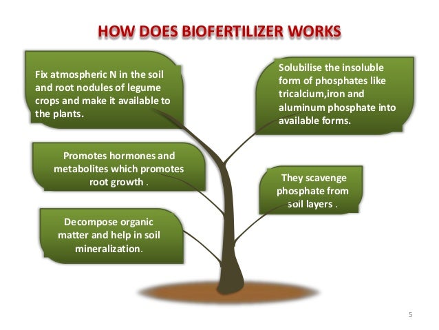 BIOFERTILLIZERS.GROUPS OF BIOFERTILLIZERS.SCOPE AND FUTURE PERSPECTI…