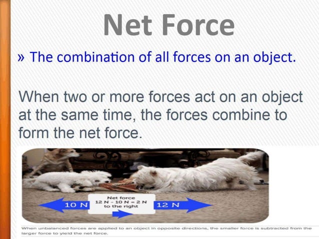 Introduction to Forces | PPT