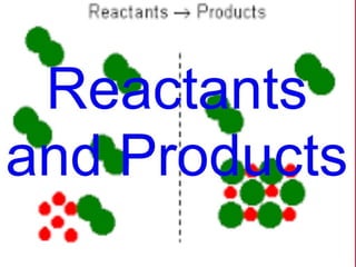 Reactants and Products | PPT