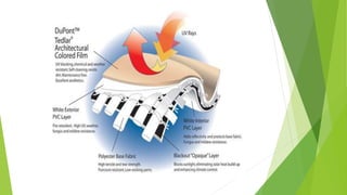 Presentation1 | PPTX