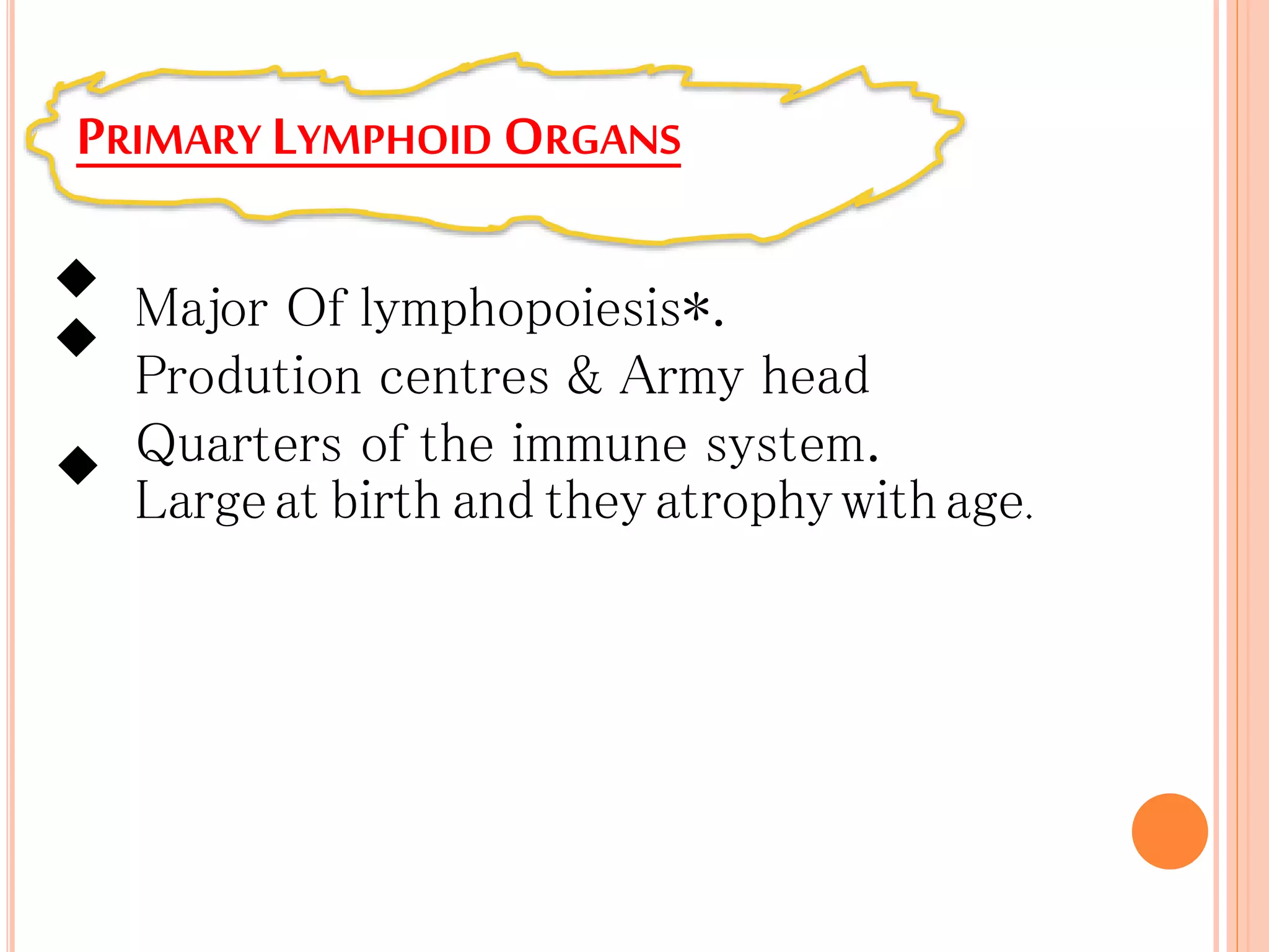 Lymphoid Organs | PPT