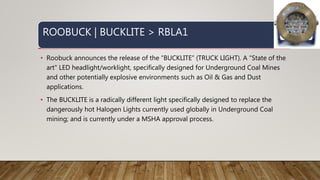 ROOBUCK - "BUCKLITE" | PPT
