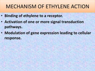 Ethylene biosynthesis and role in plants | PPTX