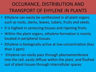 Ethylene biosynthesis and role in plants | PPTX