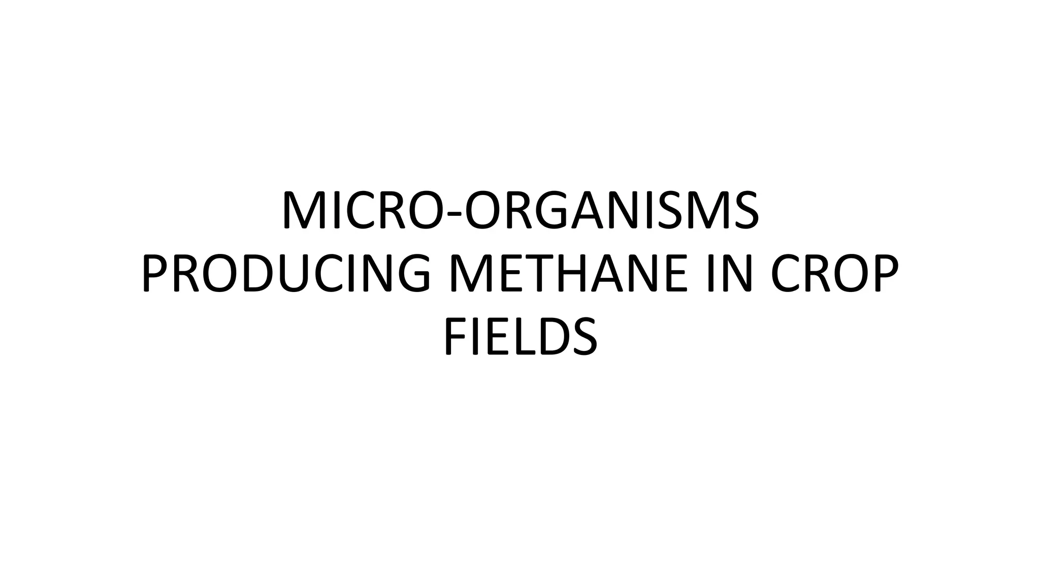 Production of Methane from rice fields | PPTX