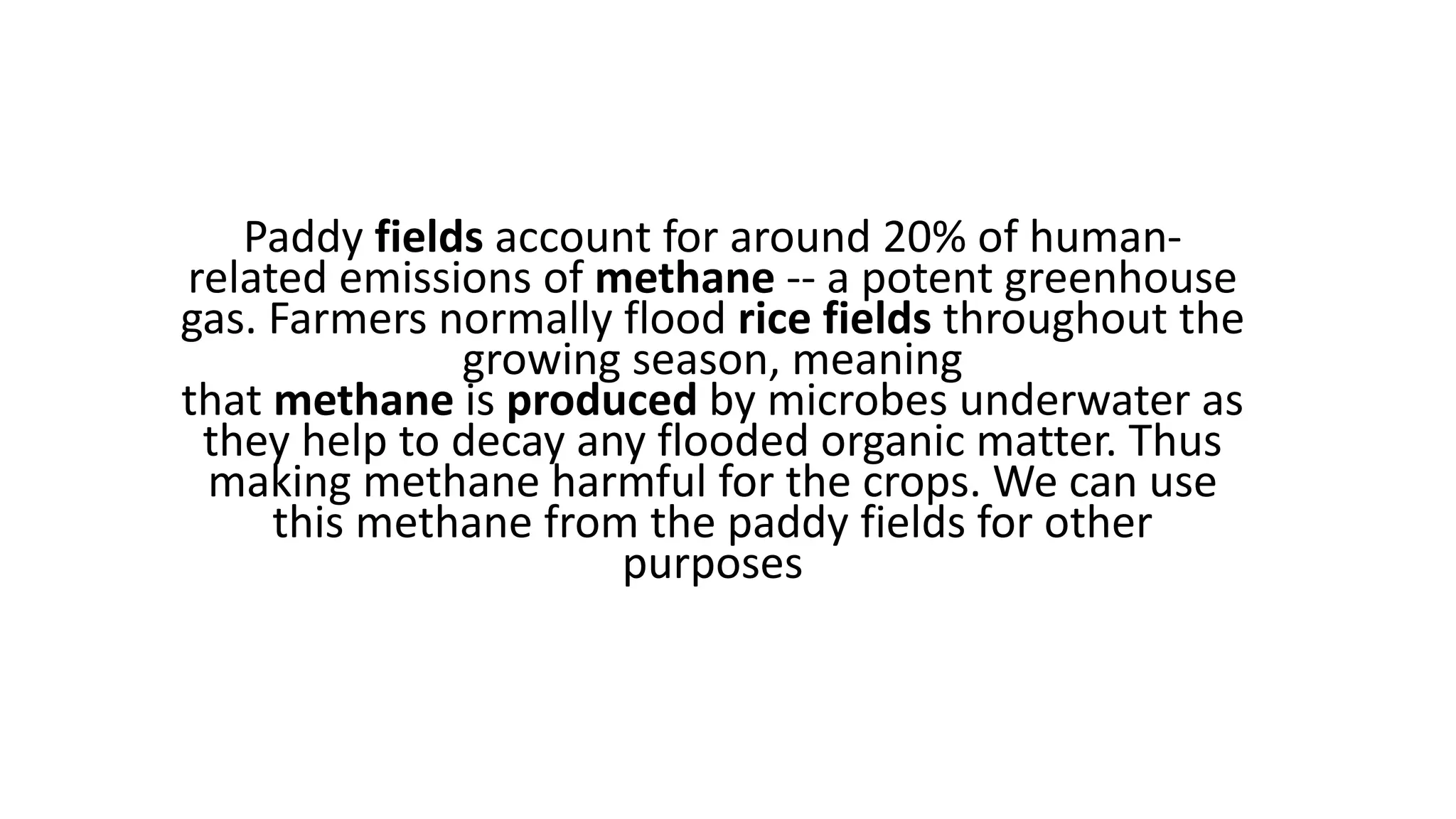 Production of Methane from rice fields | PPTX