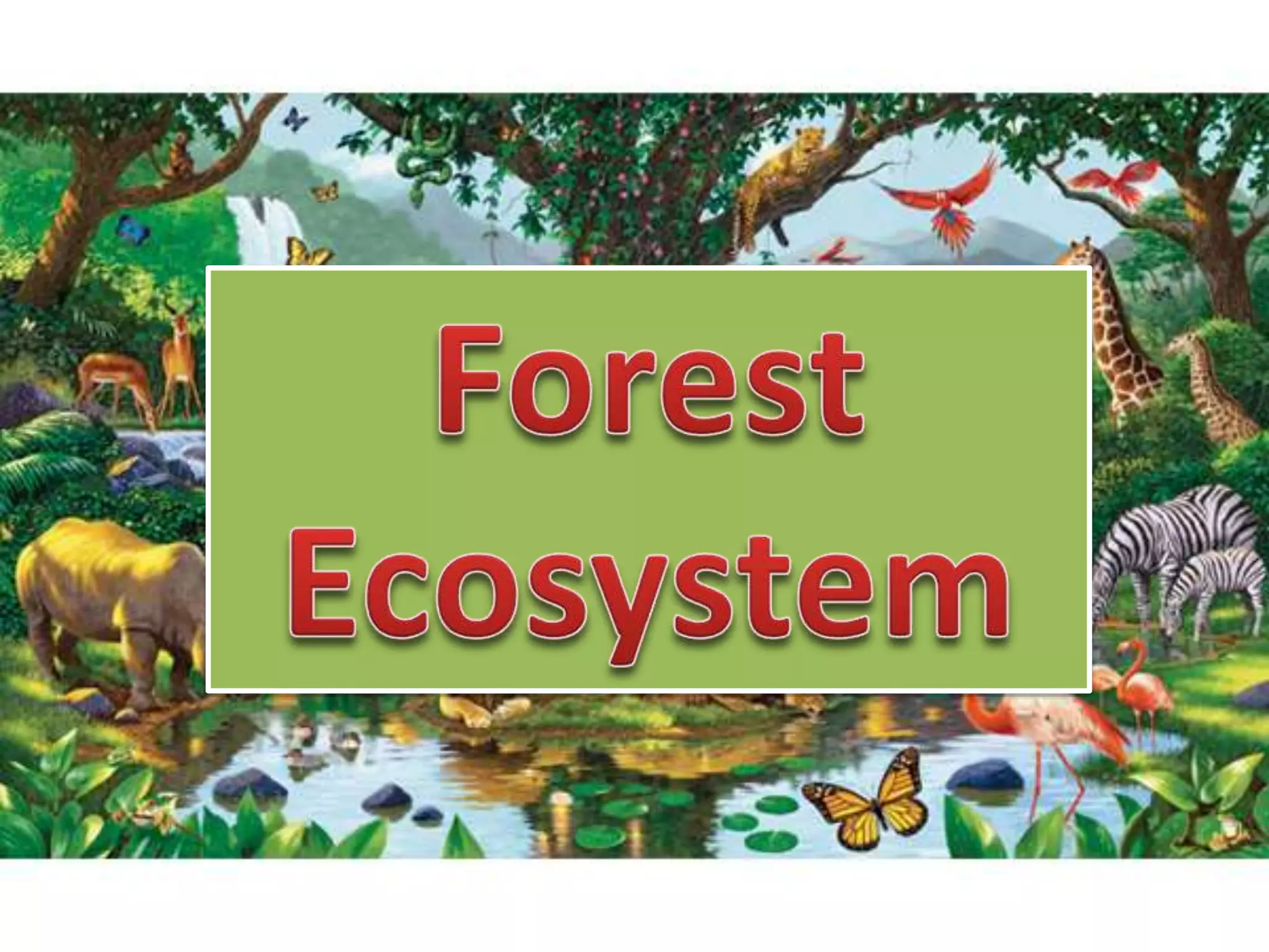 Forest ecosystem | PPTX
