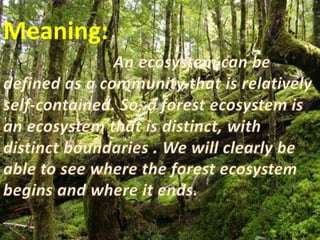 Forest ecosystem | PPTX