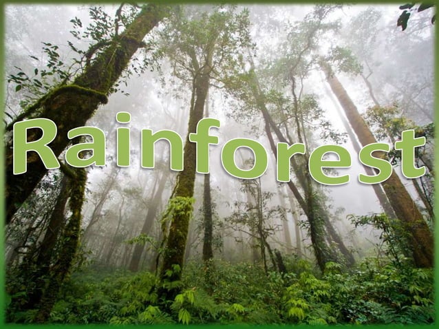 Forest ecosystem | PPTX | Geography | Science