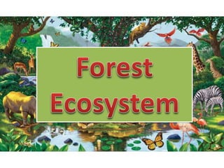 Forest Ecosystem Model