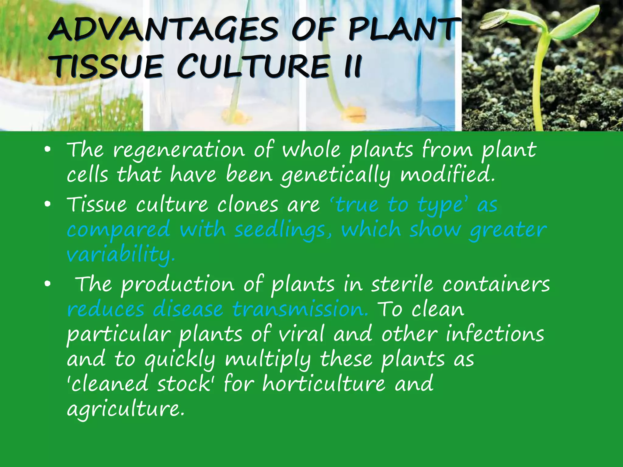 Plant tissue culture,its methods, advantages,disadvantages and ...