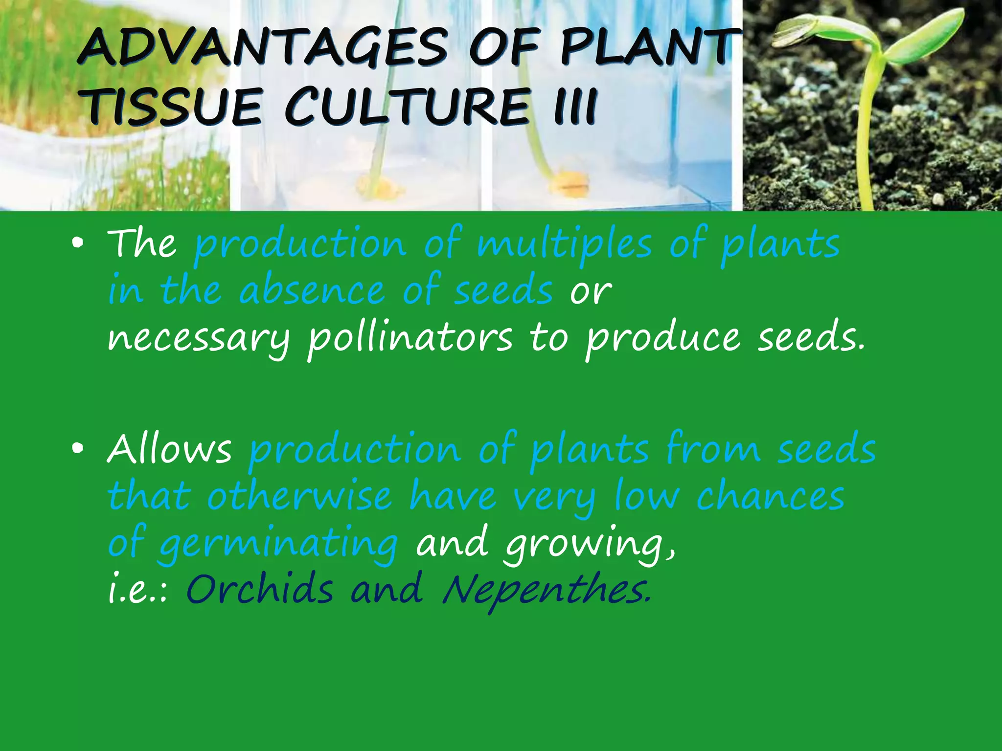Plant tissue culture,its methods, advantages,disadvantages and ...