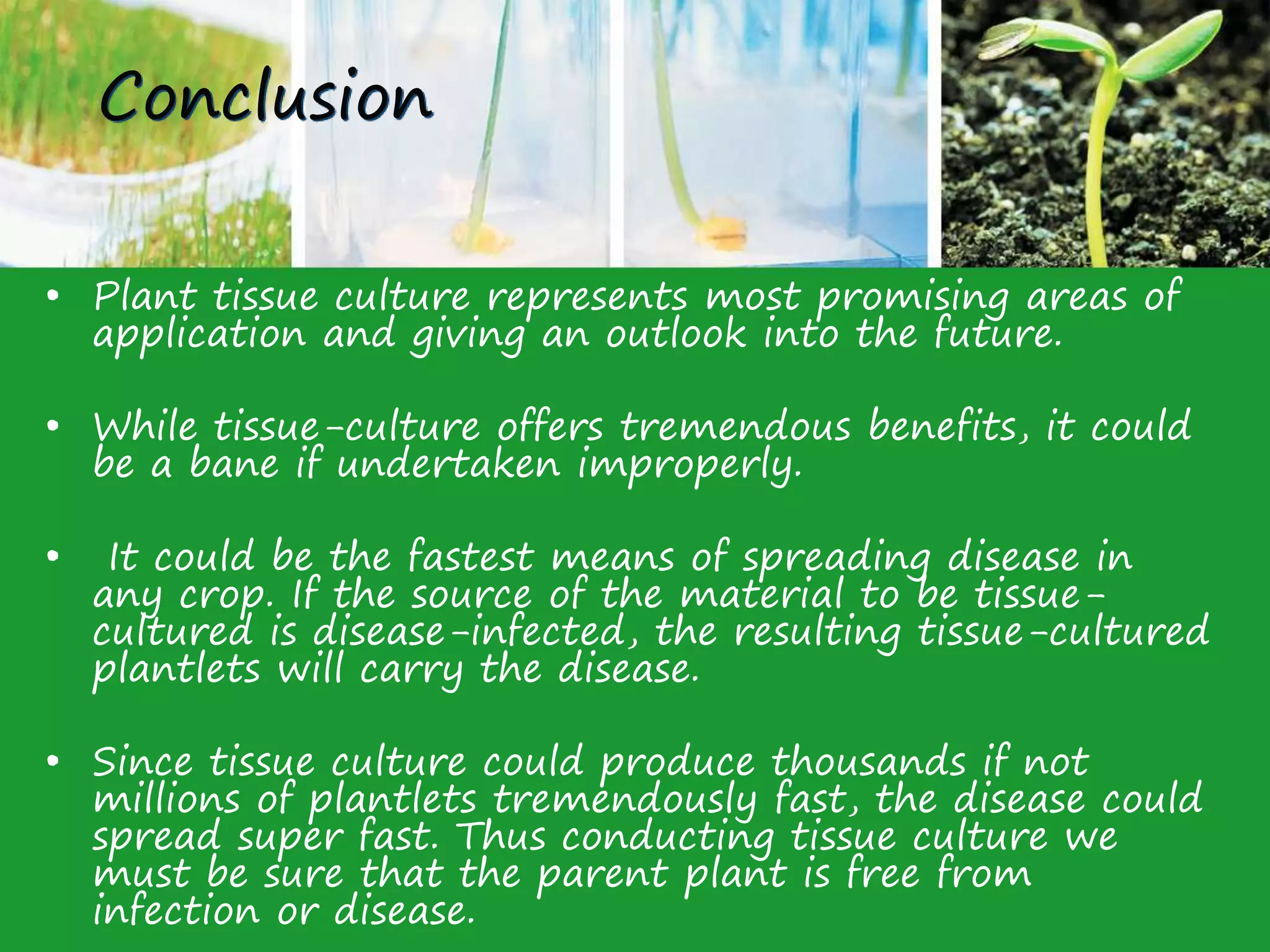 Plant tissue culture,its methods, advantages,disadvantages and ...