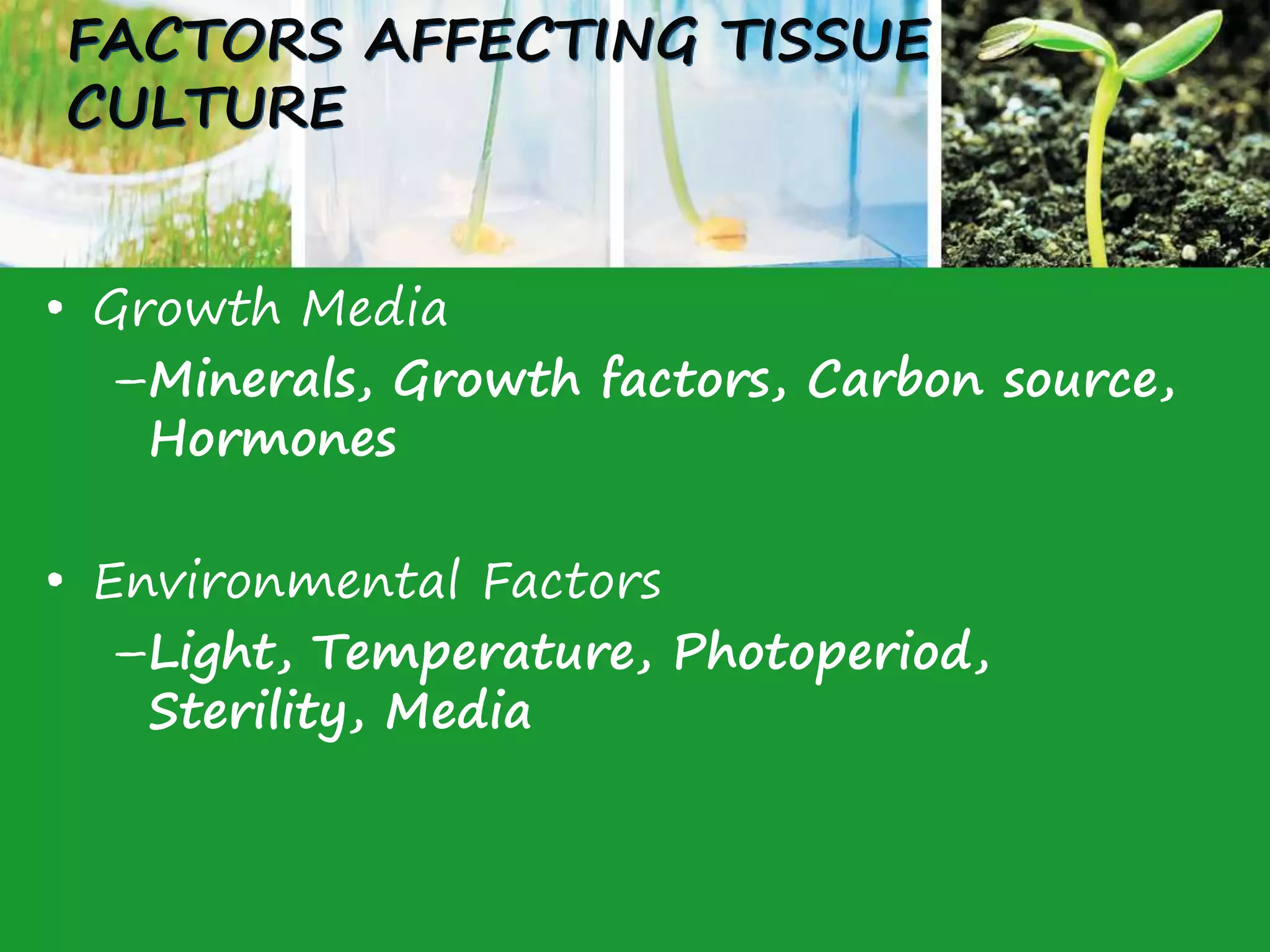 Plant tissue culture,its methods, advantages,disadvantages and ...