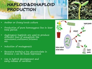 Plant tissue culture,its methods, advantages,disadvantages and ...