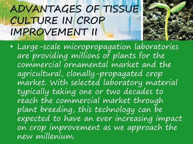 Plant tissue culture,its methods, advantages,disadvantages and ...