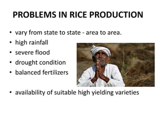 Management and ramping of rice production in INDIA ; need of the hour ...
