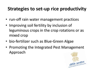Management and ramping of rice production in INDIA ; need of the hour ...