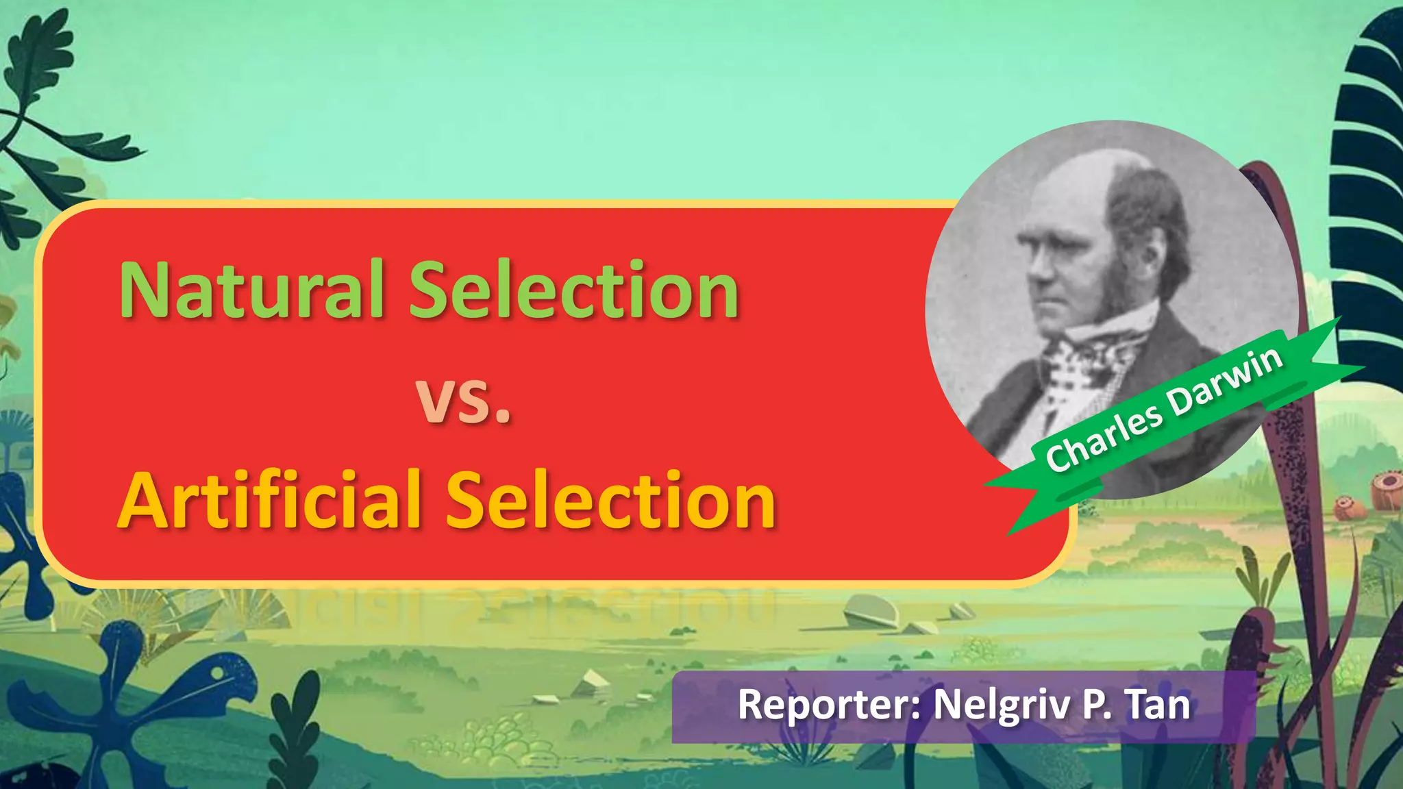 Natural Selection vs. Artificial Selection | PPTX