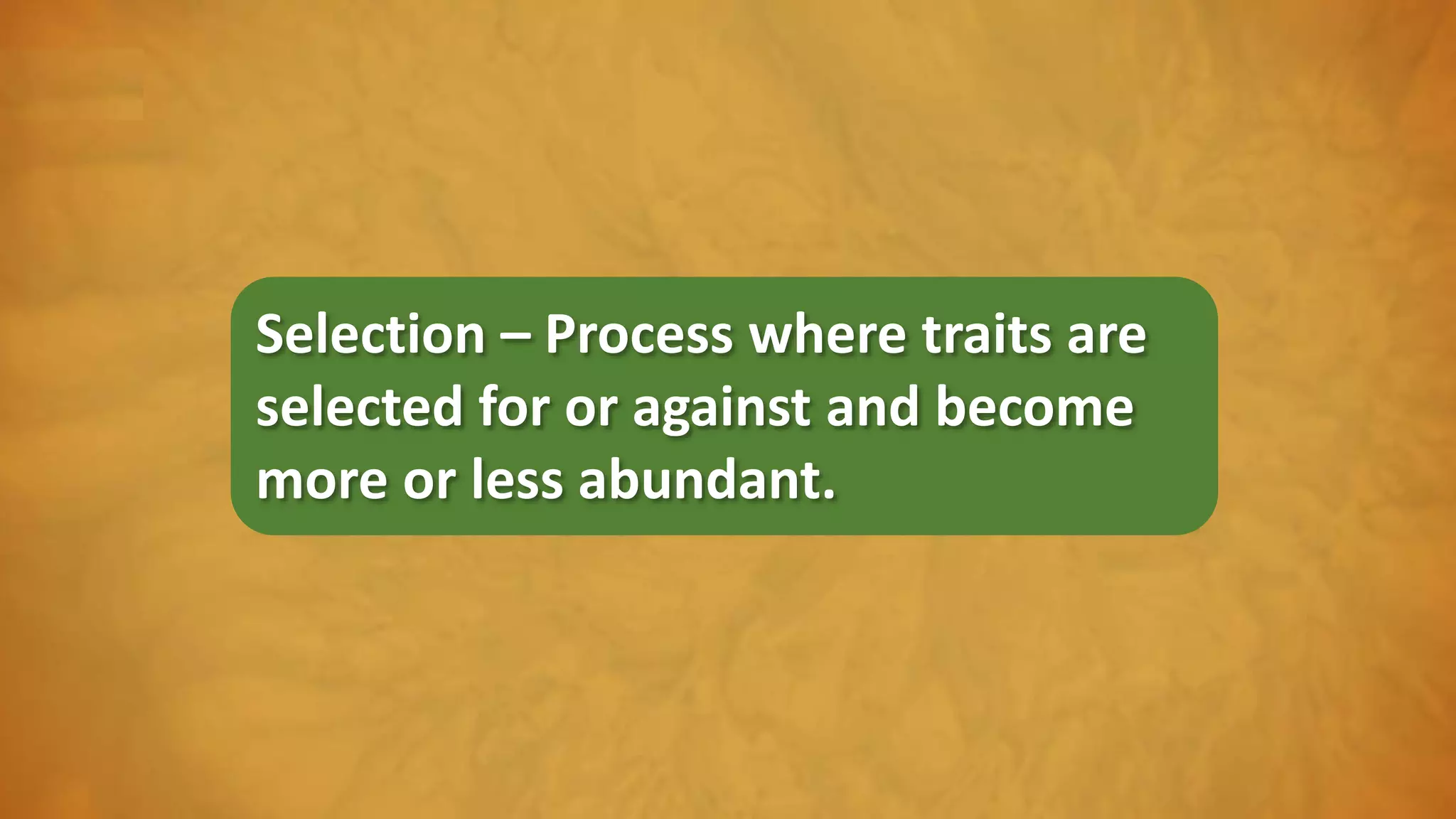 Natural Selection vs. Artificial Selection | PPTX