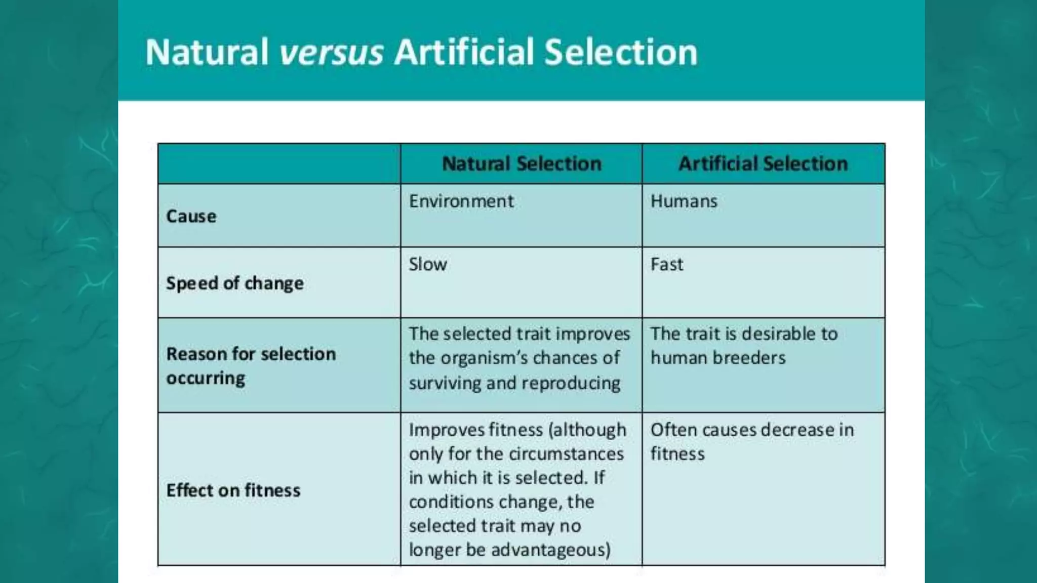 Natural Selection vs. Artificial Selection | PPTX