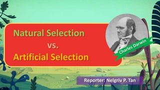 Natural Selection vs. Artificial Selection | PPTX