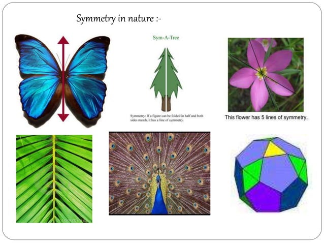 SYMMETRY ELEMENTS AND SYMMETRY OPERATIONS | PPTX | Chemistry | Science