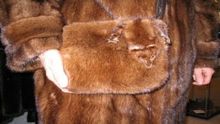 Fur industry | PPTX | Zoos & Aquariums | Attractions