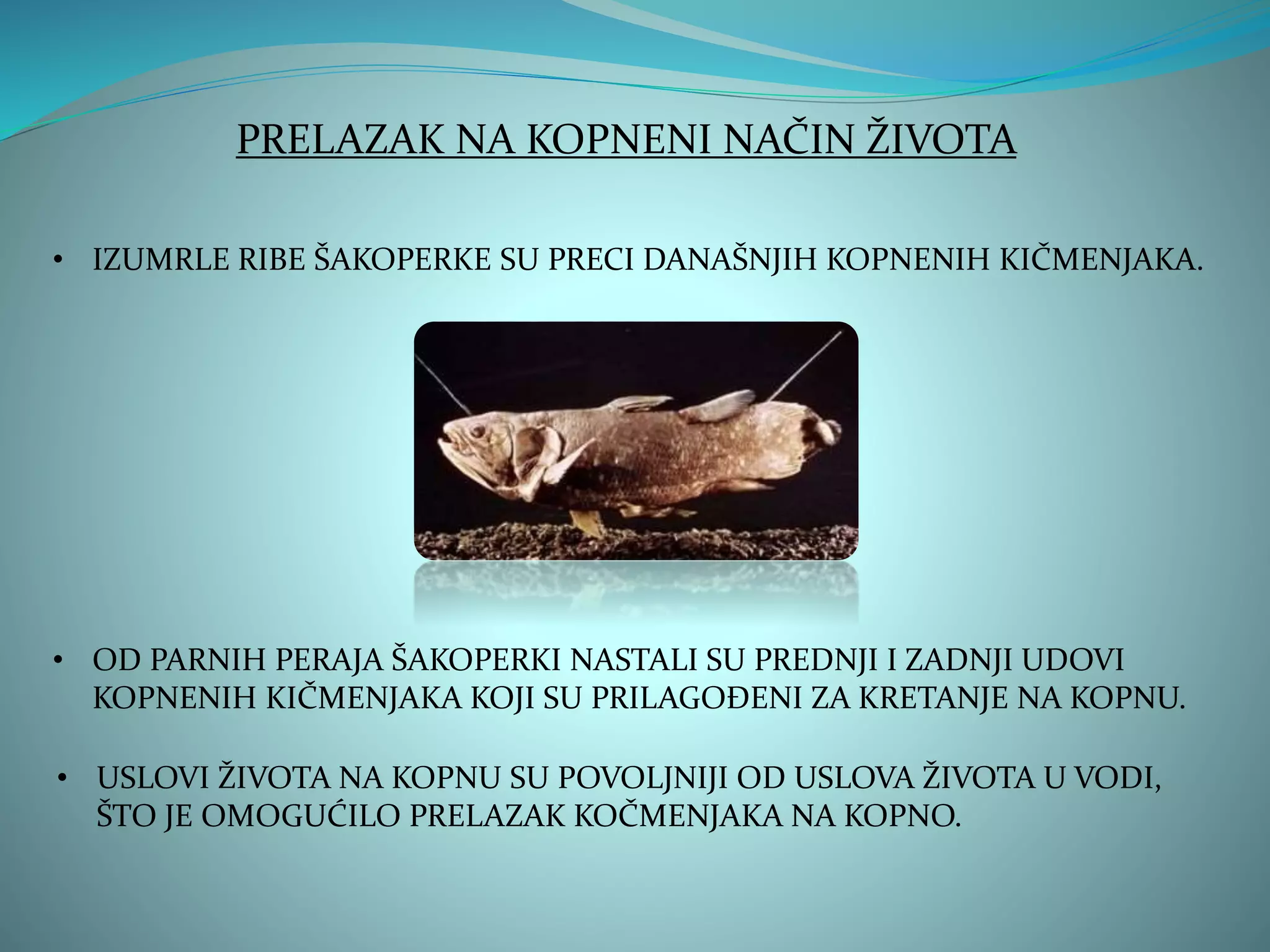 Ptrlazak na kopneni nacin zivota, vodozemci | PPTX