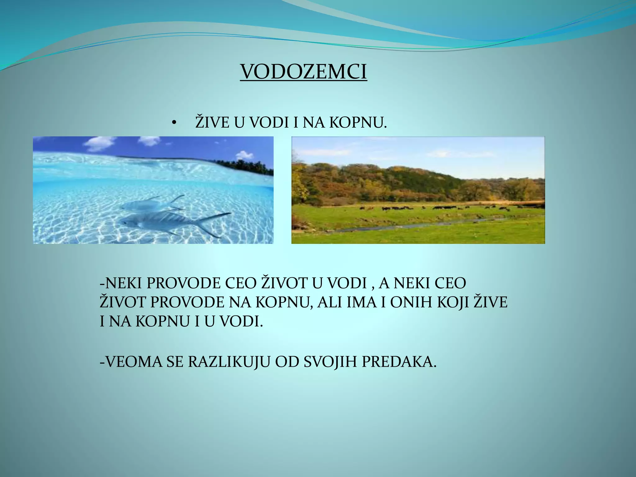 Ptrlazak na kopneni nacin zivota, vodozemci | PPTX