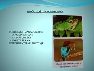 Ptrlazak na kopneni nacin zivota, vodozemci | PPTX