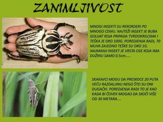 Insekti | PPTX